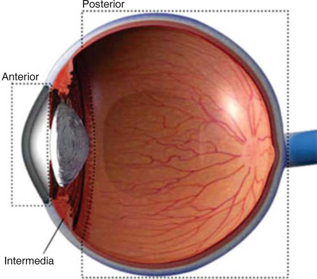 Prevalencia de enfermedades pulpares o periapicales como factores de ...