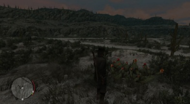 The Mustang Diaries: A Study of Mexico in Red Dead Redemption 1