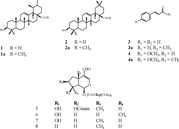 Iridoides adicionales de la planta medicinal Astianthus viminalis y su ...
