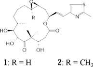 Síntesis y evaluación citotóxica de algunos fragmentos estructurales de ...