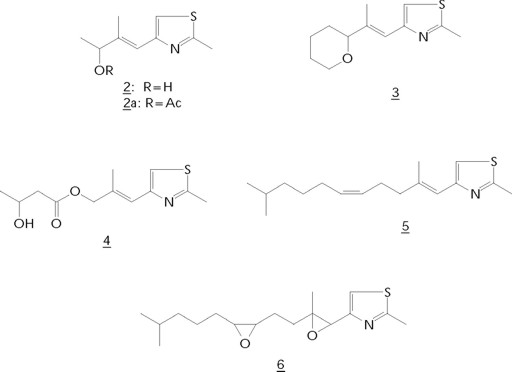 Síntesis y evaluación citotóxica de algunos fragmentos estructurales de ...