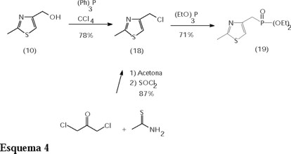 Síntesis y evaluación citotóxica de algunos fragmentos estructurales de ...
