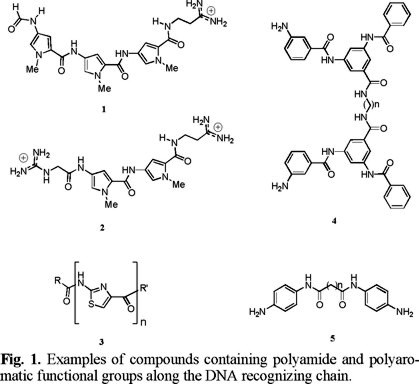 Servicios Personalizados