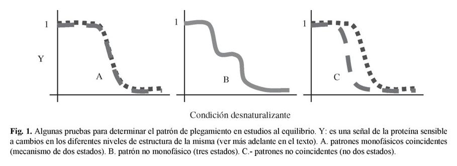 ¿Es el glóbulo fundido un intermediario general en la vía de ...