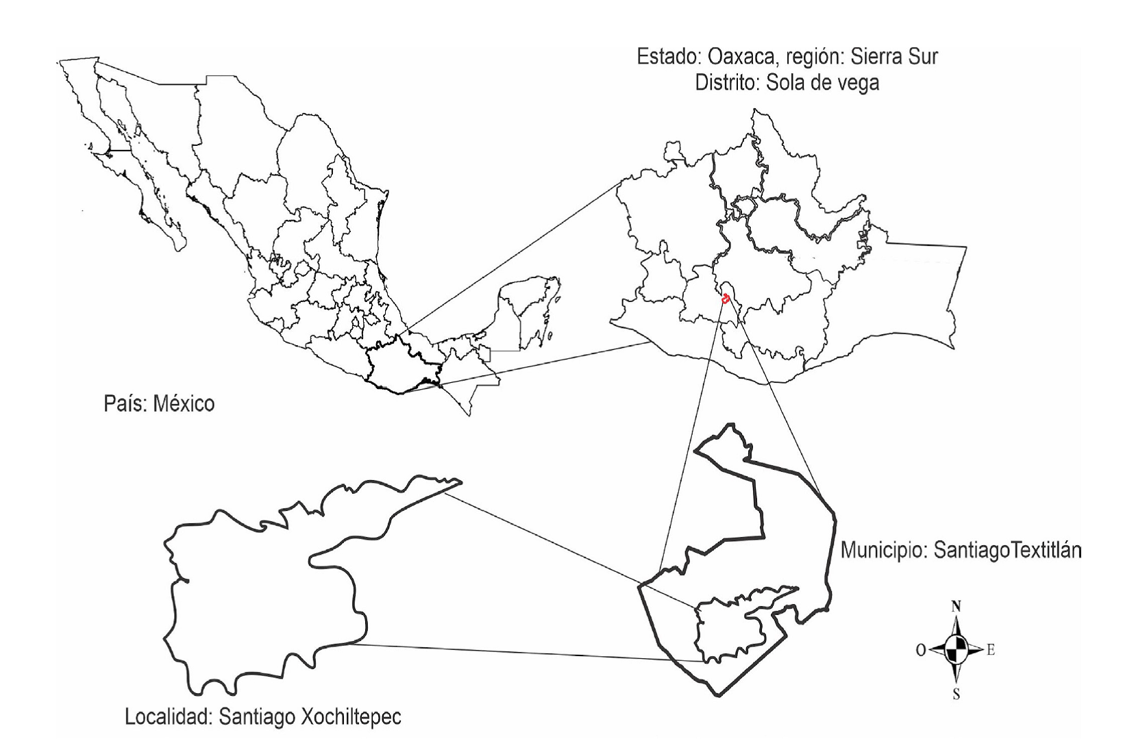 Primer registro de Scleroderma texense (Boletales, Sclerodermatinae ...