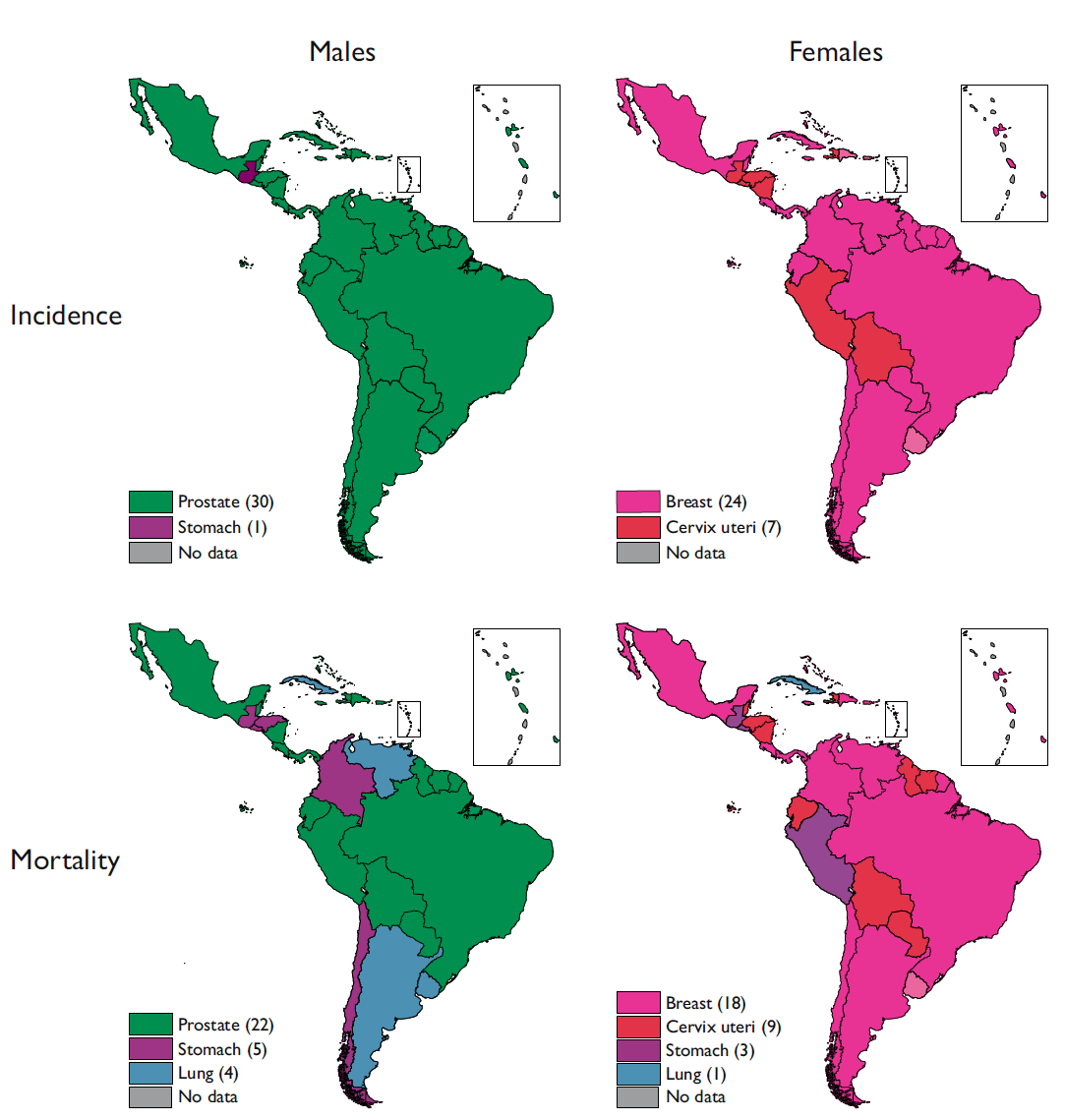 Cancer patterns, trends and projections in Latin America and the ...