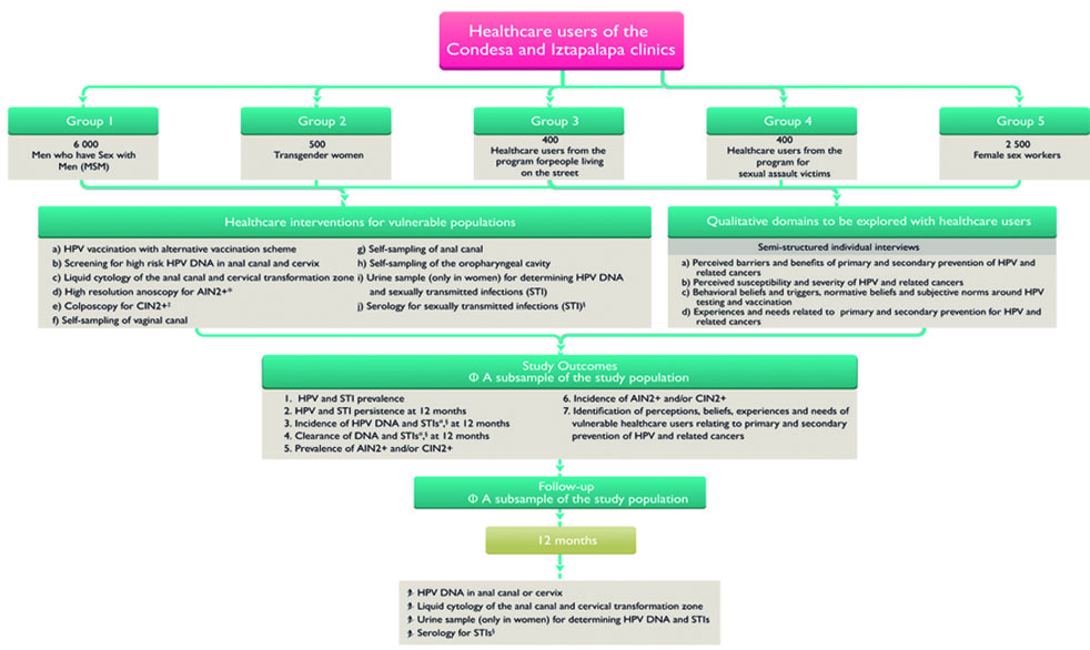 Prevention and control of neoplasms associated with HPV in high-risk ...