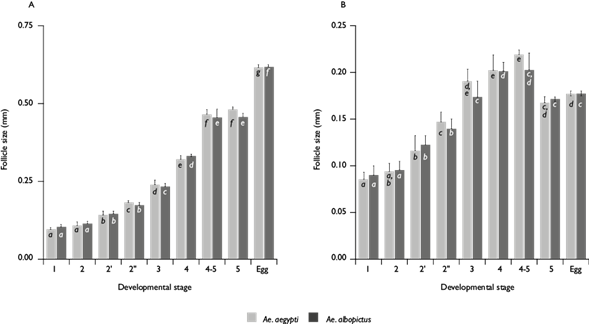 Oogenic development and gonotrophic cycle of Aedes aegypti and Aedes ...