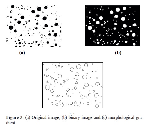 Characterization of the roundness degree of graphite nodules in ductile ...