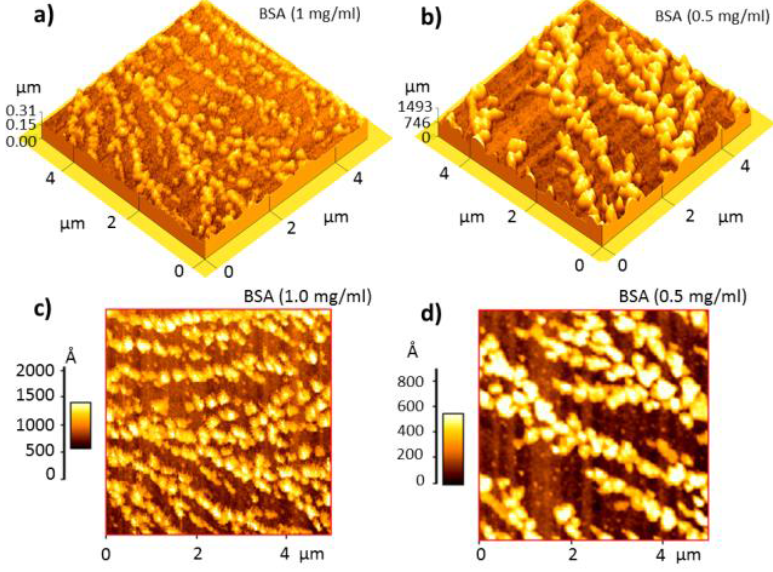 Structural characterization of protein microsensors arrays by means of ...