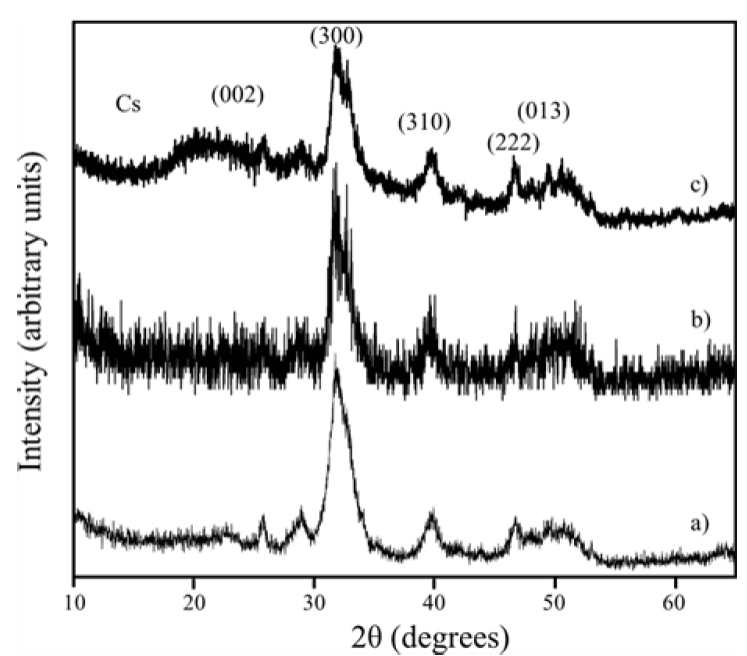 Interfacial analysis of chitosan/bone: cortical and cancellous bone ...