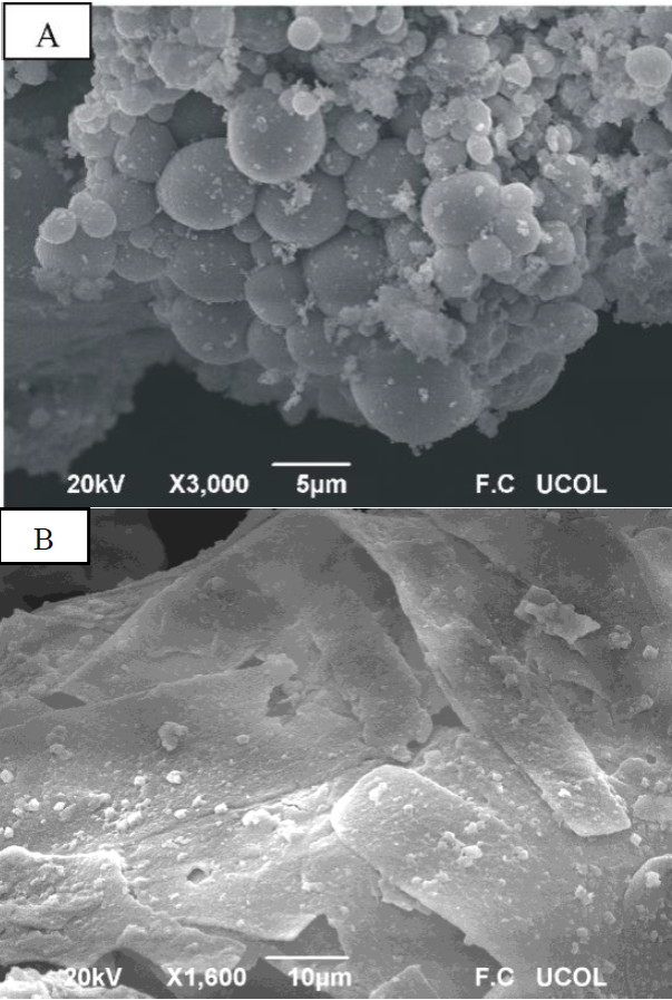Colloidal synthesis of C0A12O4 nanoparticles using dodecylamine and ...
