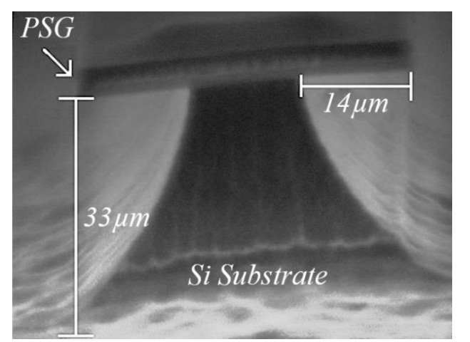 A modular and generic monolithic integrated MEMS fabrication process