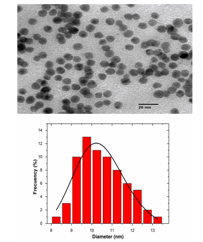 Simple and rapid method for silver nanoparticles incorporation in ...
