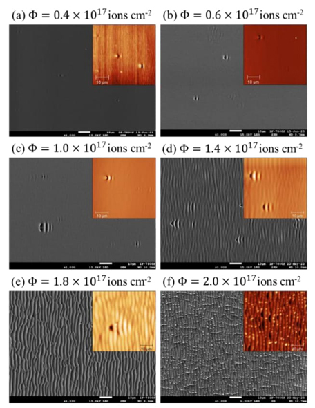 Self-organized gold nanoparticles on SiO2 surface nanopatterns induced ...