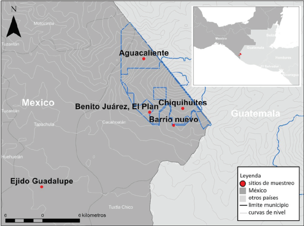 El mimbre: una oportunidad de diversificación y desarrollo en las ...
