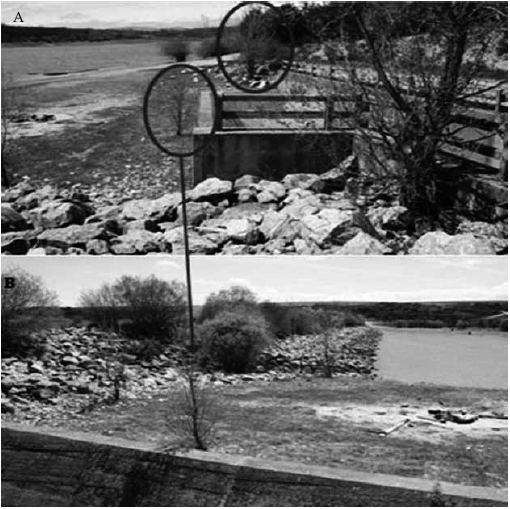 Hazards Caused by Uncontrolled Vegetation and Inadequate Maintenance ...