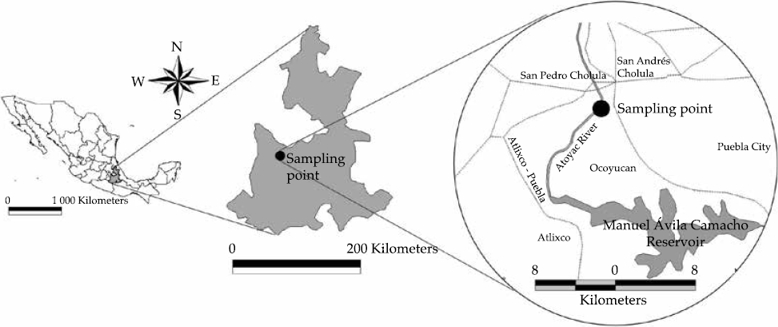 Prevalence of Enterobacteriaceae and contaminants survey in sediments ...