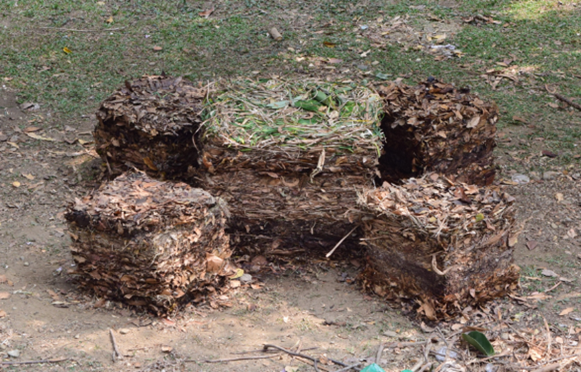 Experiencia didáctica con las pacas biodigestoras en entornos ...