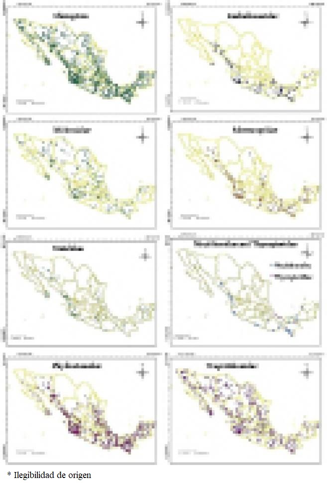 Spatial distribution of bat richness in Mexico at different taxonomic ...