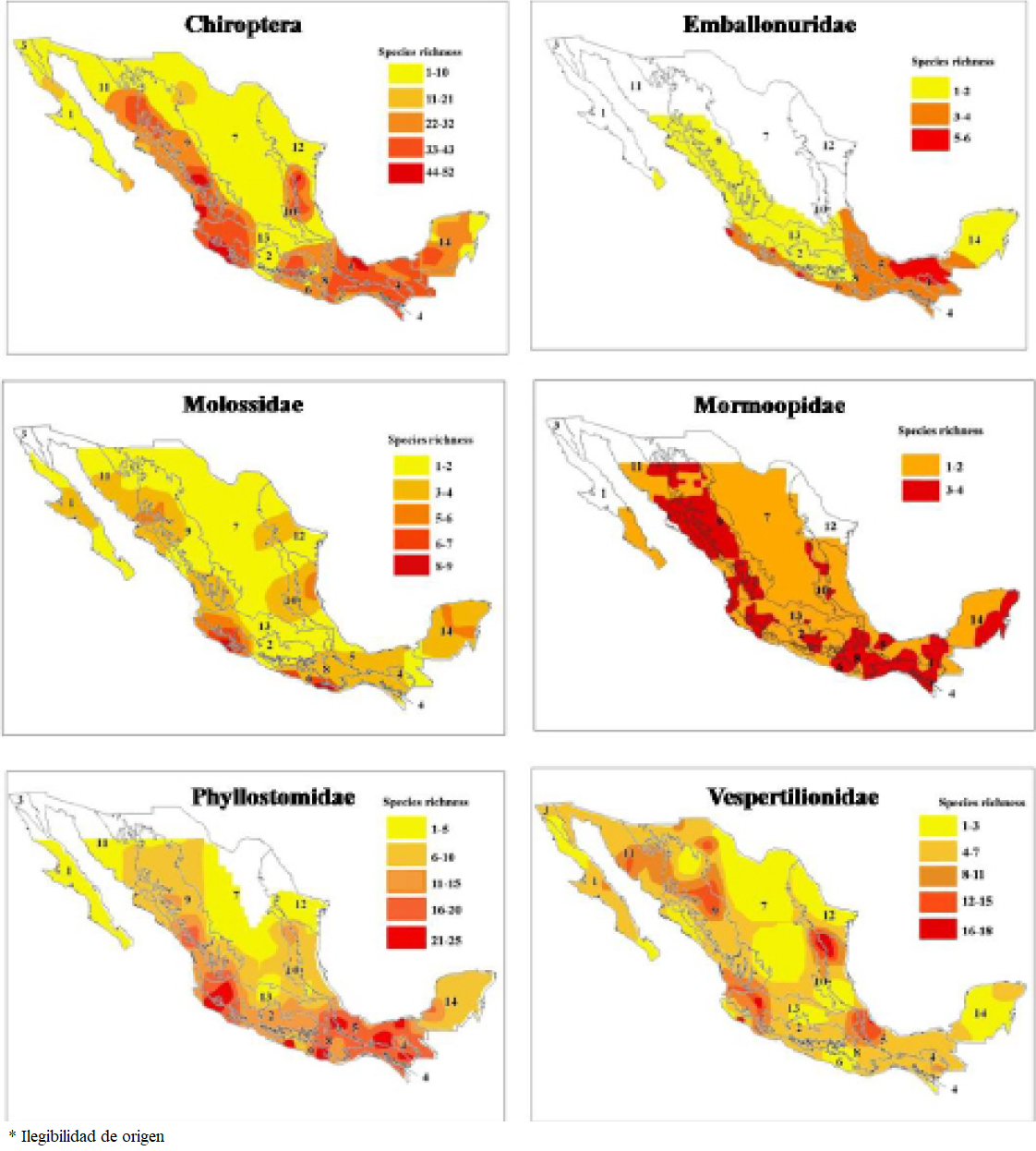 Spatial distribution of bat richness in Mexico at different taxonomic ...