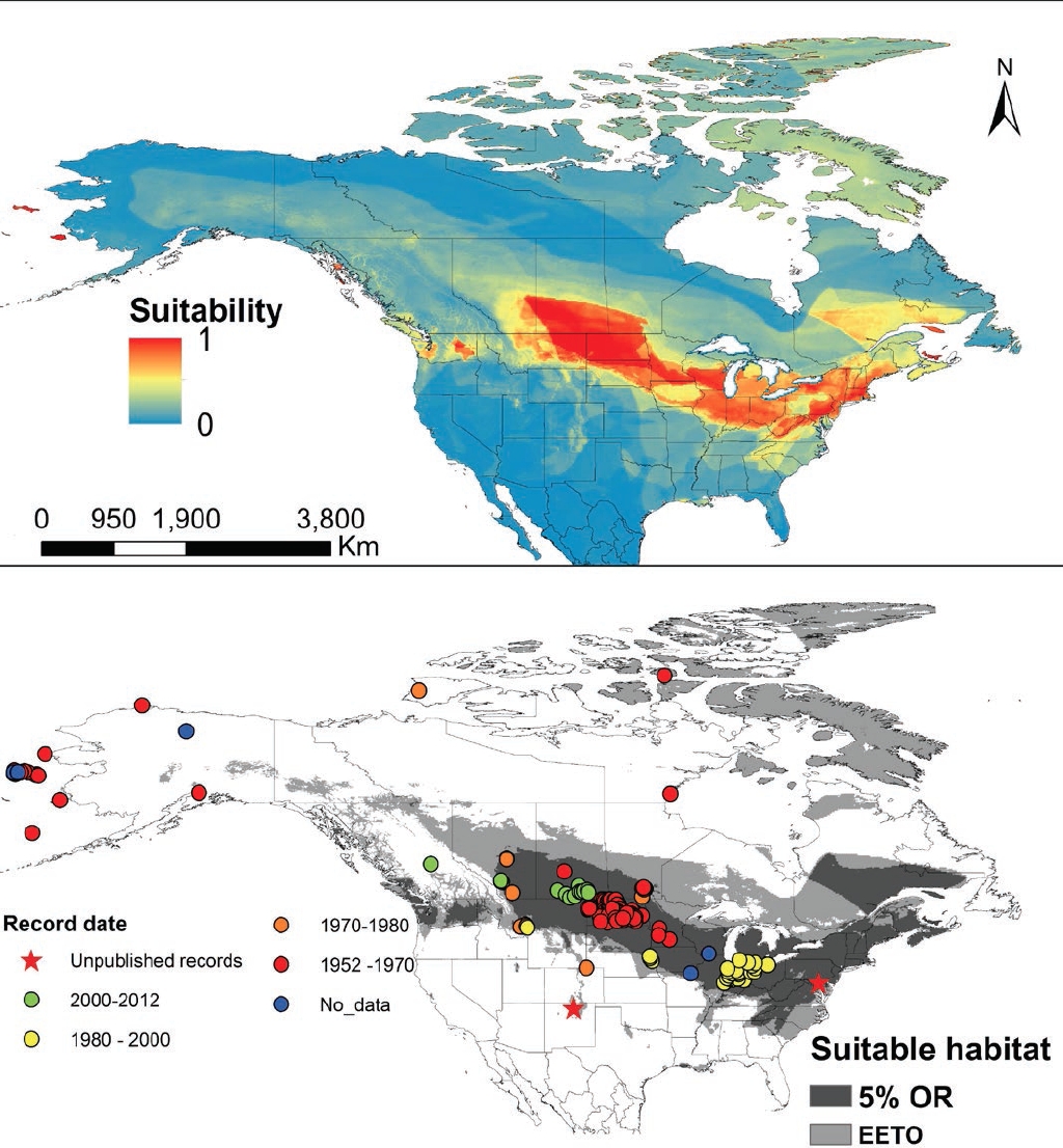 The ecological niche of Echinococcus multilocularis in North America ...