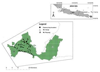Ecological niche and potential distribution of the endangered Bos ...