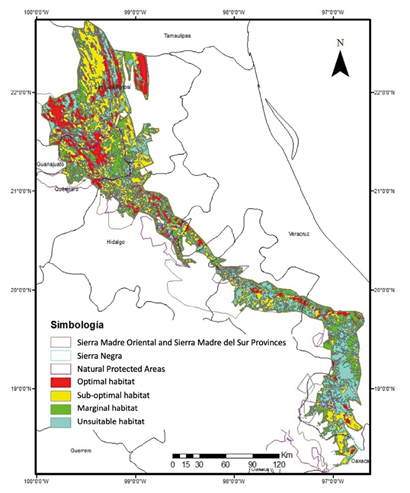 Potential distribution of the Ocelot (Leopardus pardalis) in southern ...