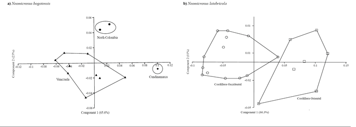 Alpha-taxonomy in the cricetid rodent Neomicroxus, a first assessment