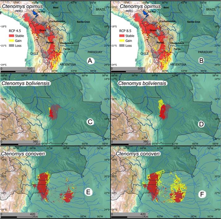 Conservation status and natural history of Ctenomys, tuco-tucos in Bolivia