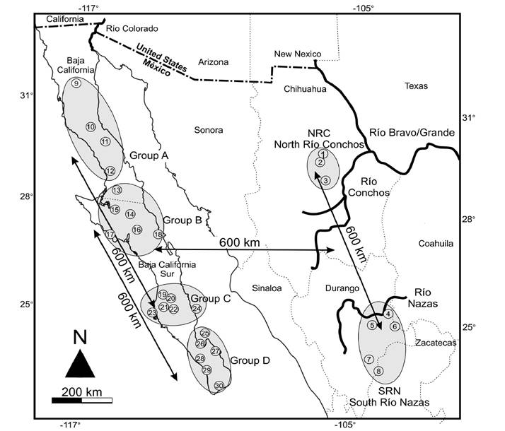 Morphological and genetic variation of black-tailed jackrabbit (Lepus ...