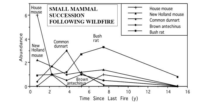 How habitat selection, succession, and assembly rules can influence ...