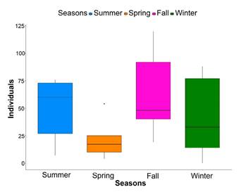 Spatial and temporal distribution of bat mortality on a highway in ...