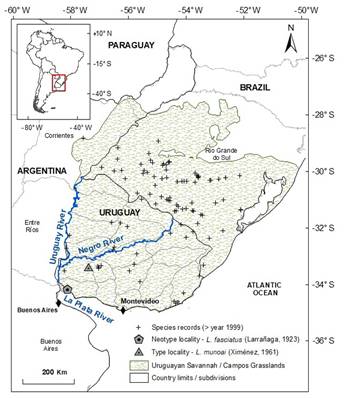 The oldest available name for the pampas cat of the Uruguayan Savannah ...