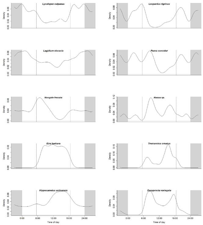 Relative abundance and activity patterns of mesomammals in central Andes
