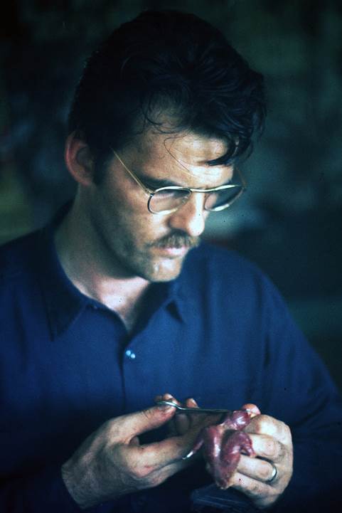 Special Issue in Honor of Dr. Alfred L. Gardner