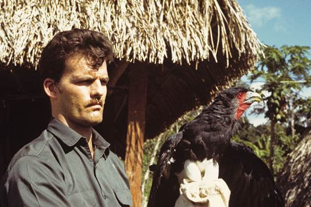 Special Issue in Honor of Dr. Alfred L. Gardner