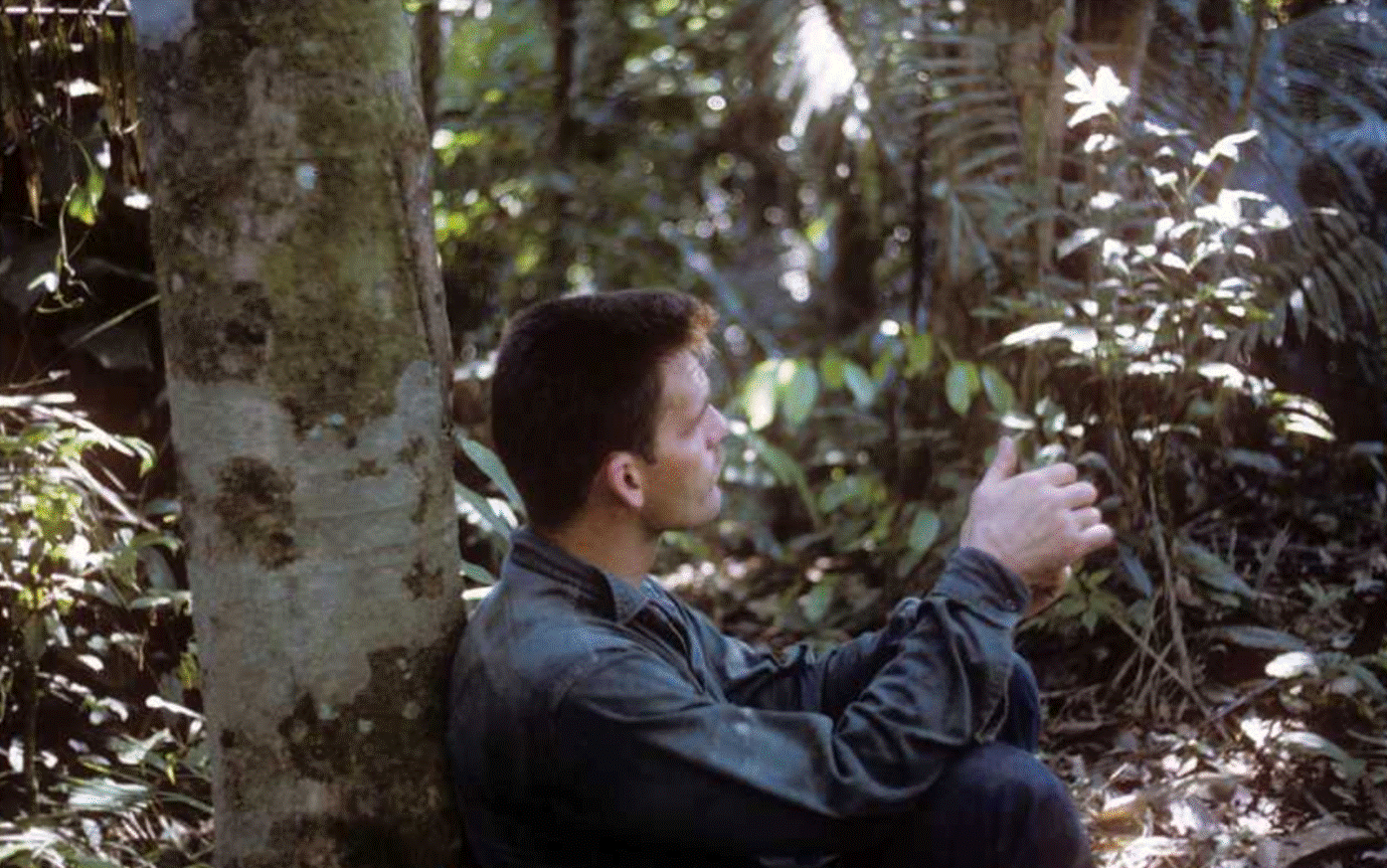 Special Issue in Honor of Dr. Alfred L. Gardner