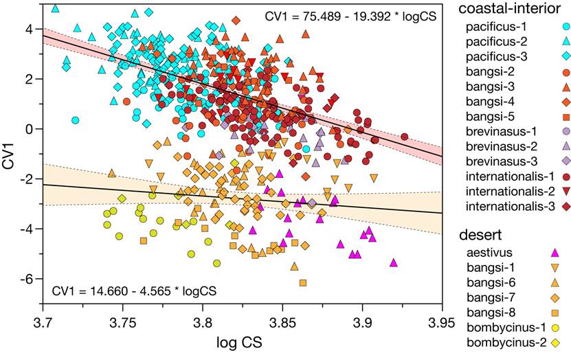 Taxonomic reassessment of the Little pocket mouse, Perognathus ...