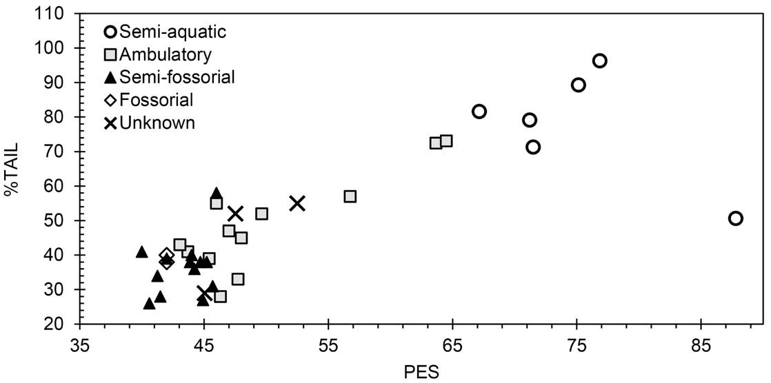 Skeletal indicators of locomotor adaptations in shrews
