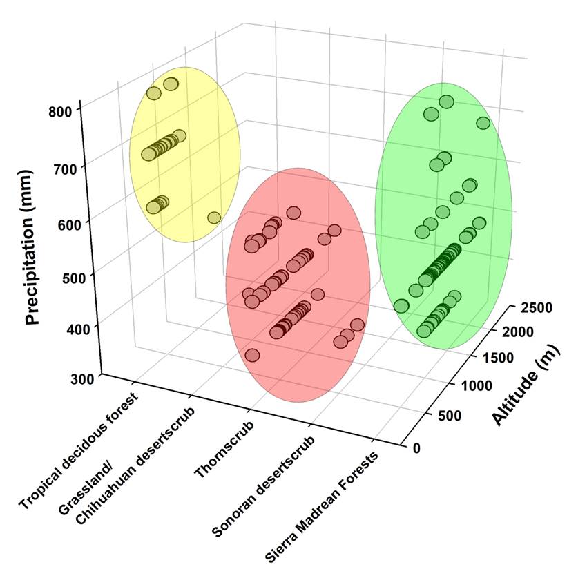 Distribution and habitat of Ocelot (Leopardus pardalis) in Sonora, México