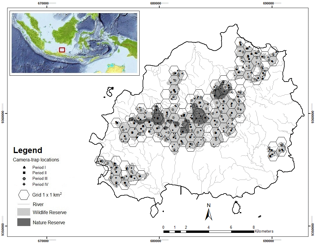 Population trend and ecology of the most isolated deer in the world ...