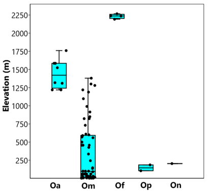 Rediscovery of Oryzomys fulgens: implications for the taxonomy of Oryzomys
