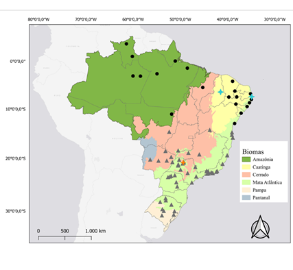 Distribution and karyotypic variation of Brazilian molossid bats ...