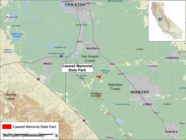 Riparian woodrat and black rat competition: investigating the role of ...