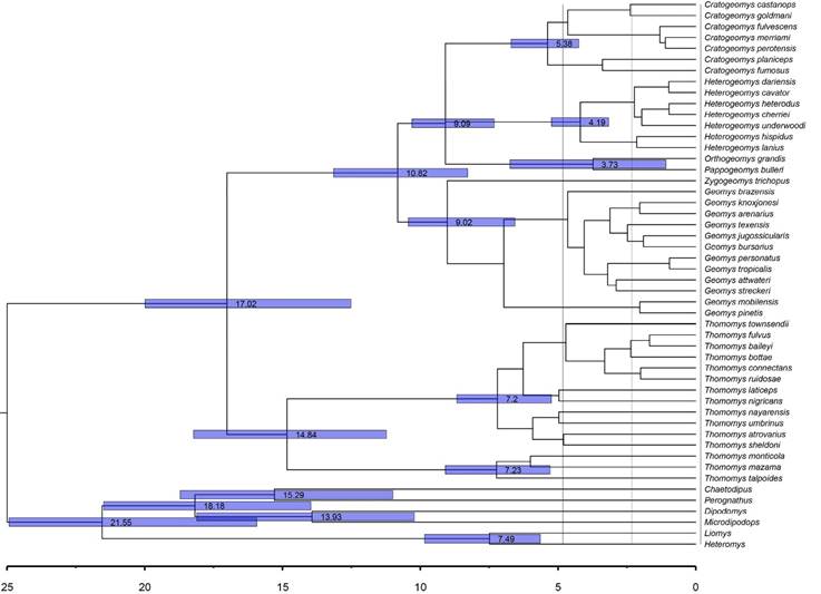 Genus-level review of pocket gophers in the family Geomyidae