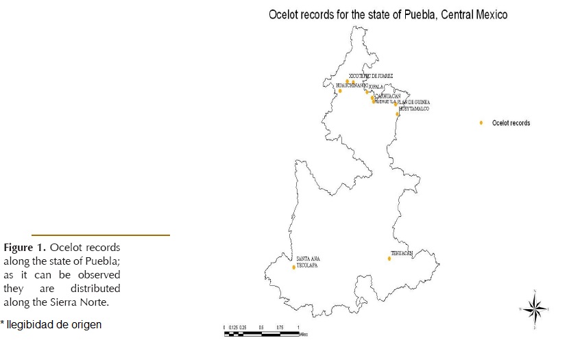 Ocelot (Leopardus pardalis) distribution in the state of Puebla ...