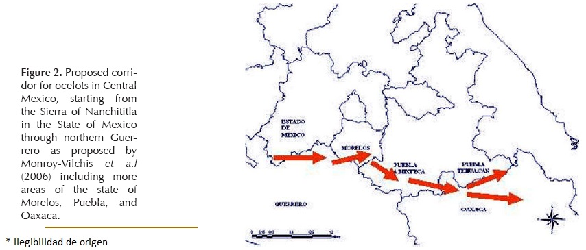 Ocelot (Leopardus pardalis) distribution in the state of Puebla ...