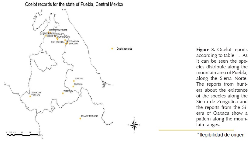 Ocelot (Leopardus pardalis) distribution in the state of Puebla ...
