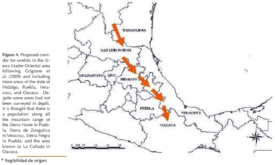 Ocelot (Leopardus pardalis) distribution in the state of Puebla ...
